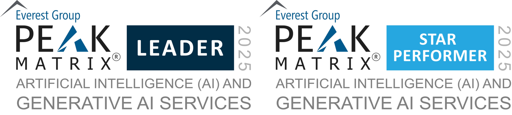 A Leader and a Star Performer in Everest Group’s AI and Generative AI ...