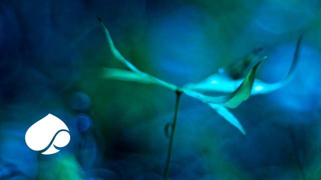 Data-powered Innovation Review | Wave 12 - Capgemini USA